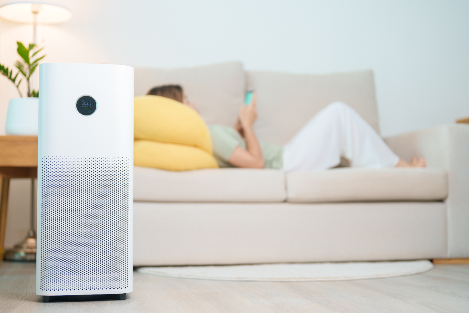 Northside Services: Control Humidity in Tampa Homes